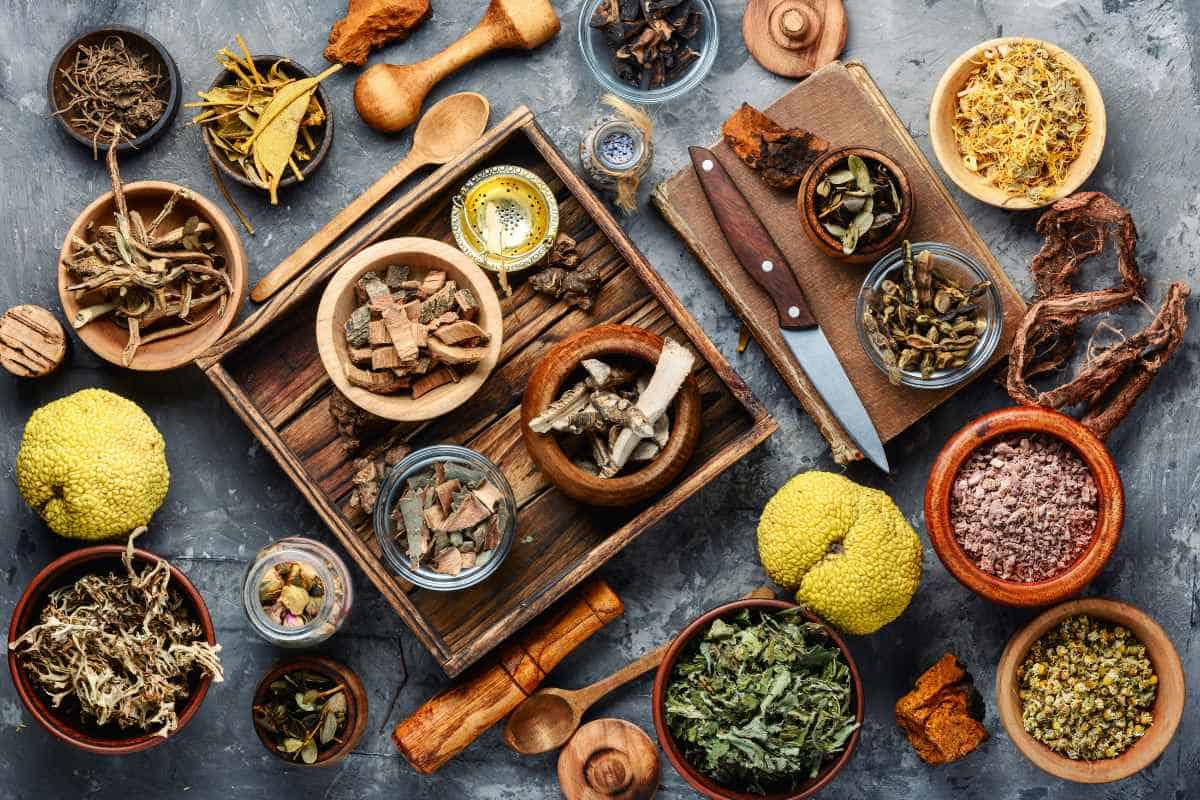 Herbal Products Name List: A Guide to High Demand Global Herbal ...